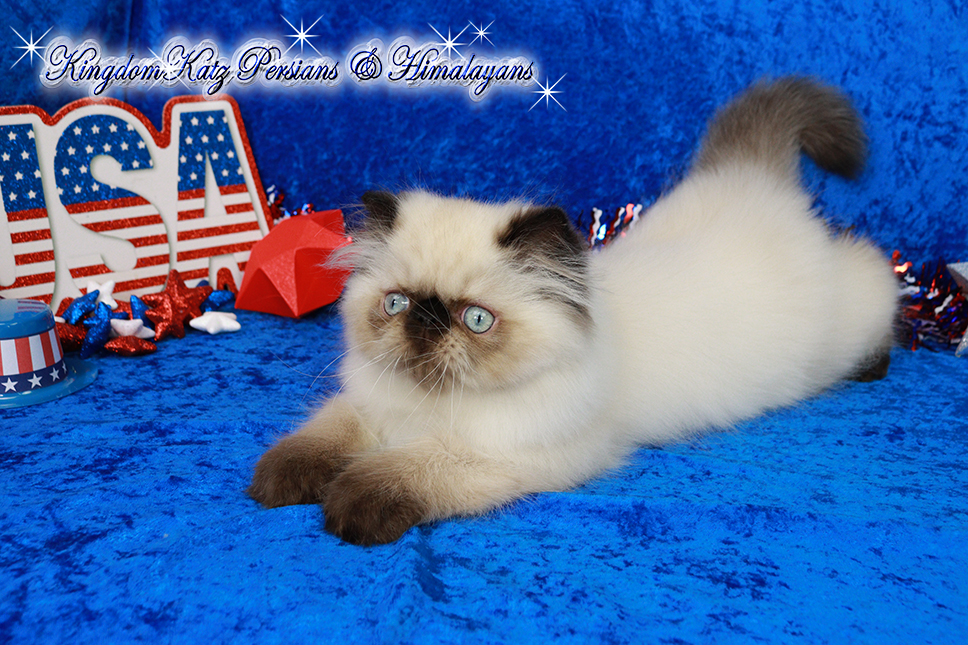 24-Clyde Hunter DANGERVILLE