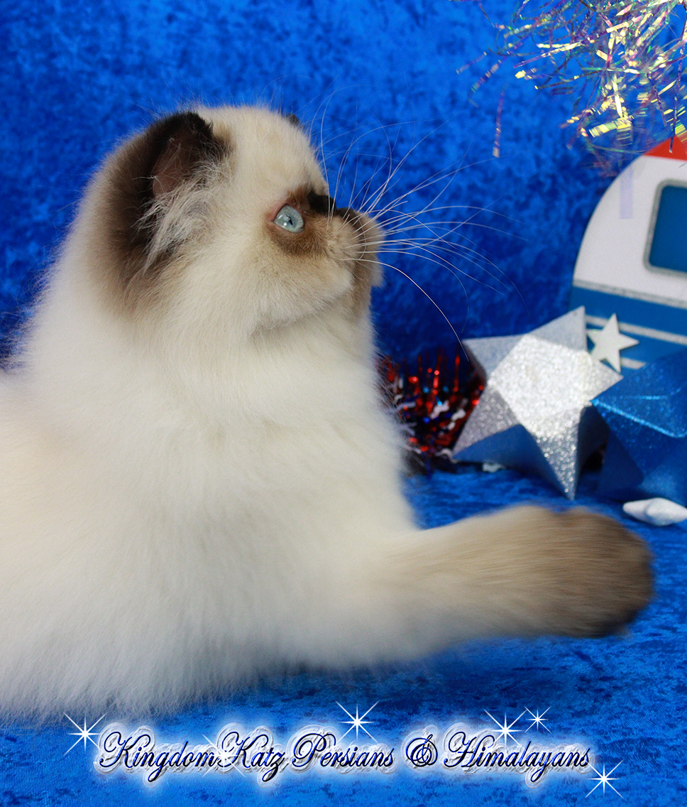 24-Clyde Hunter DANGERVILLE