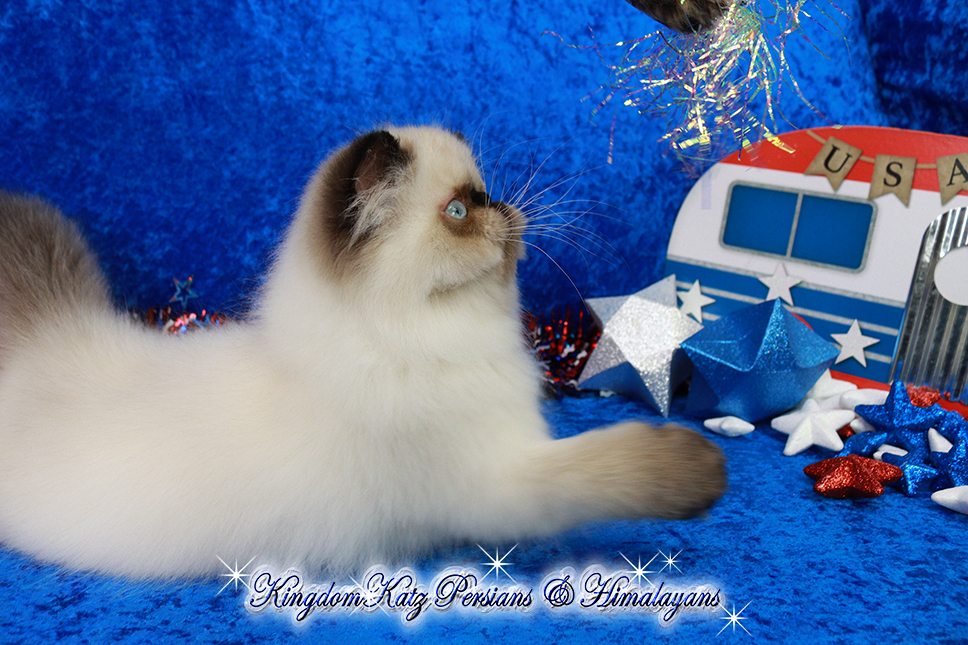 24-Clyde Hunter DANGERVILLE