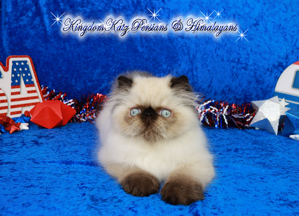 24-Clyde Hunter DANGERVILLE