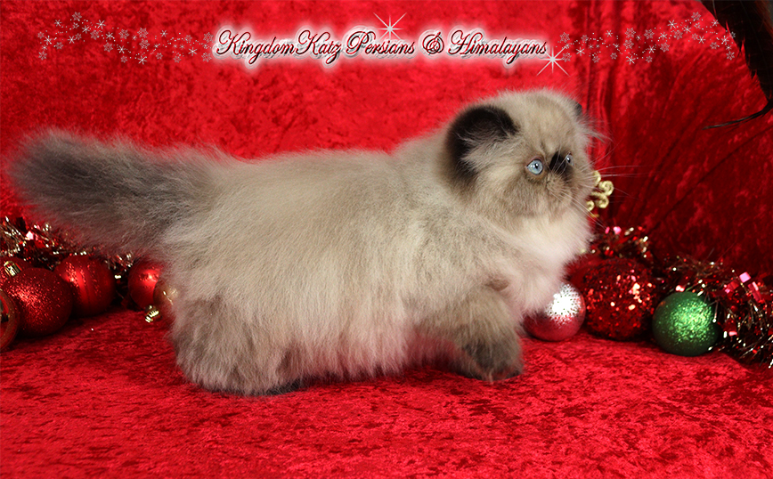 23-Ilona She Loves Me