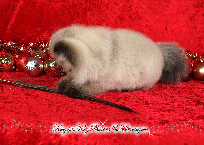 23-Ilona She Loves Me